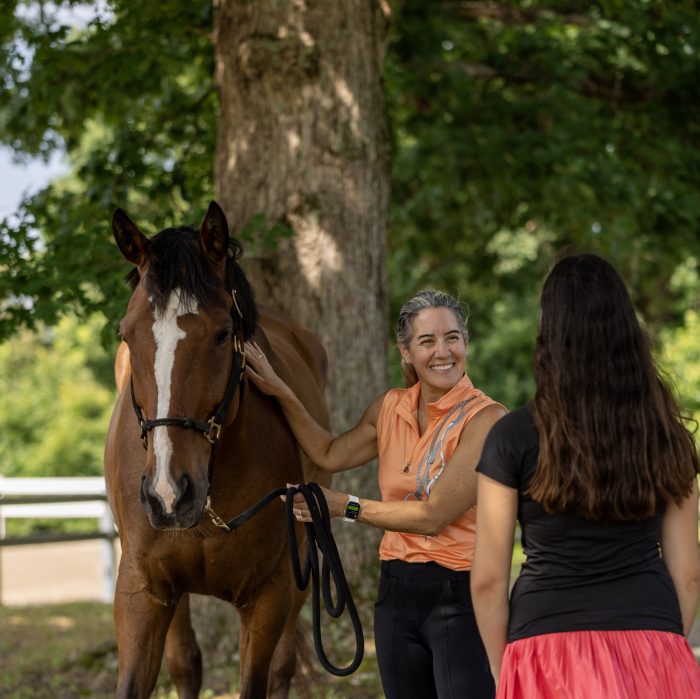 Equine Assisted Psychotherapy - WML Wellness : WML Wellness